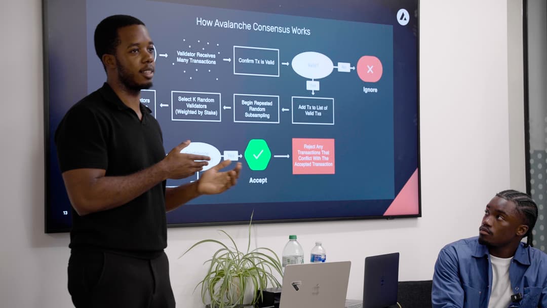 DeCentral Hub - Design Your Future in Tech